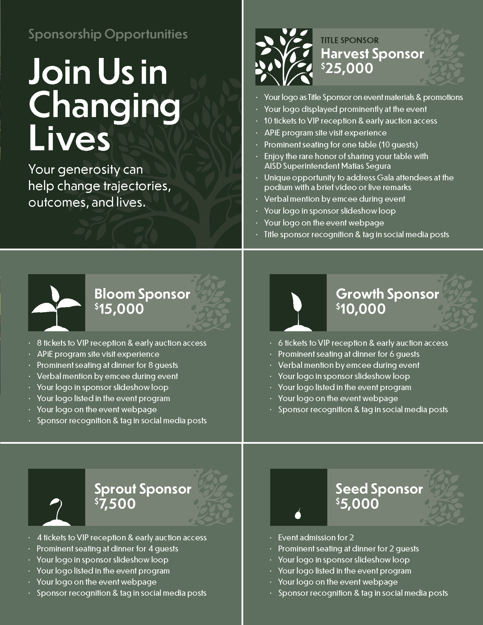 Gala 2025 Sponsor Information - Austin Partners in Education